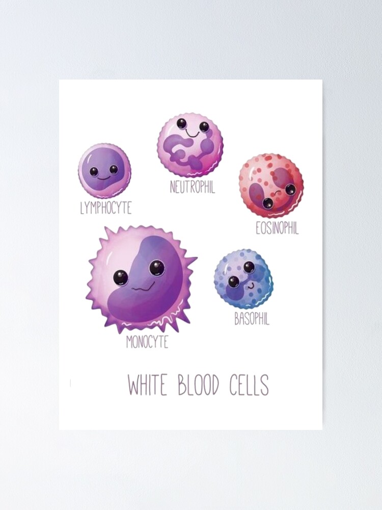 "Cute Funny White Blood Cells" Poster by Master-bg | Redbubble