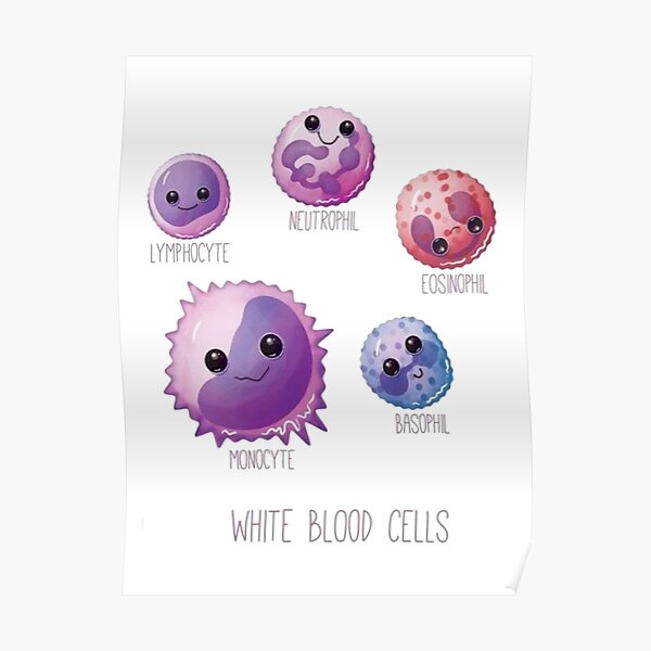 "Cute Funny White Blood Cells" Poster by Master-bg | Redbubble