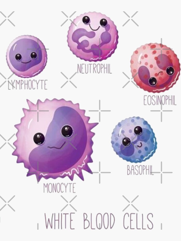 "Cute Funny White Blood Cells" Sticker for Sale by Master-bg | Redbubble