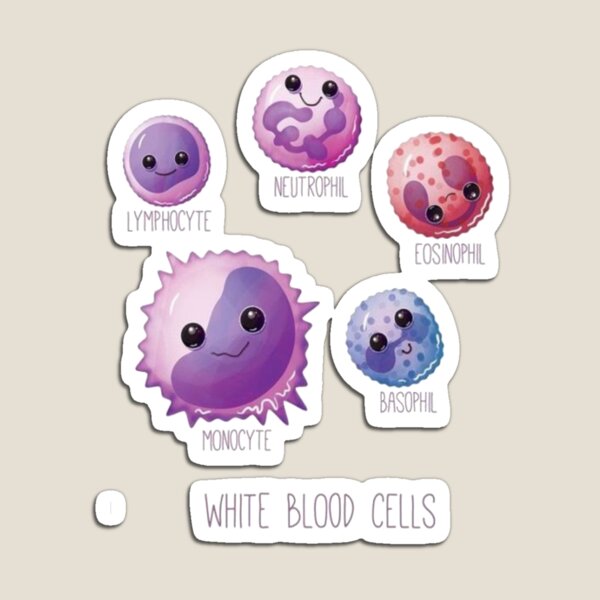 "Cute Funny White Blood Cells" Magnet for Sale by Master-bg | Redbubble