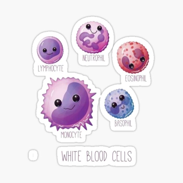 "Cute Funny White Blood Cells" Sticker for Sale by Master-bg | Redbubble