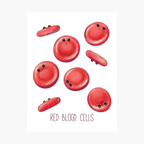 "Cute Funny Red Blood Cells" Photographic Print for Sale by Master-bg ...