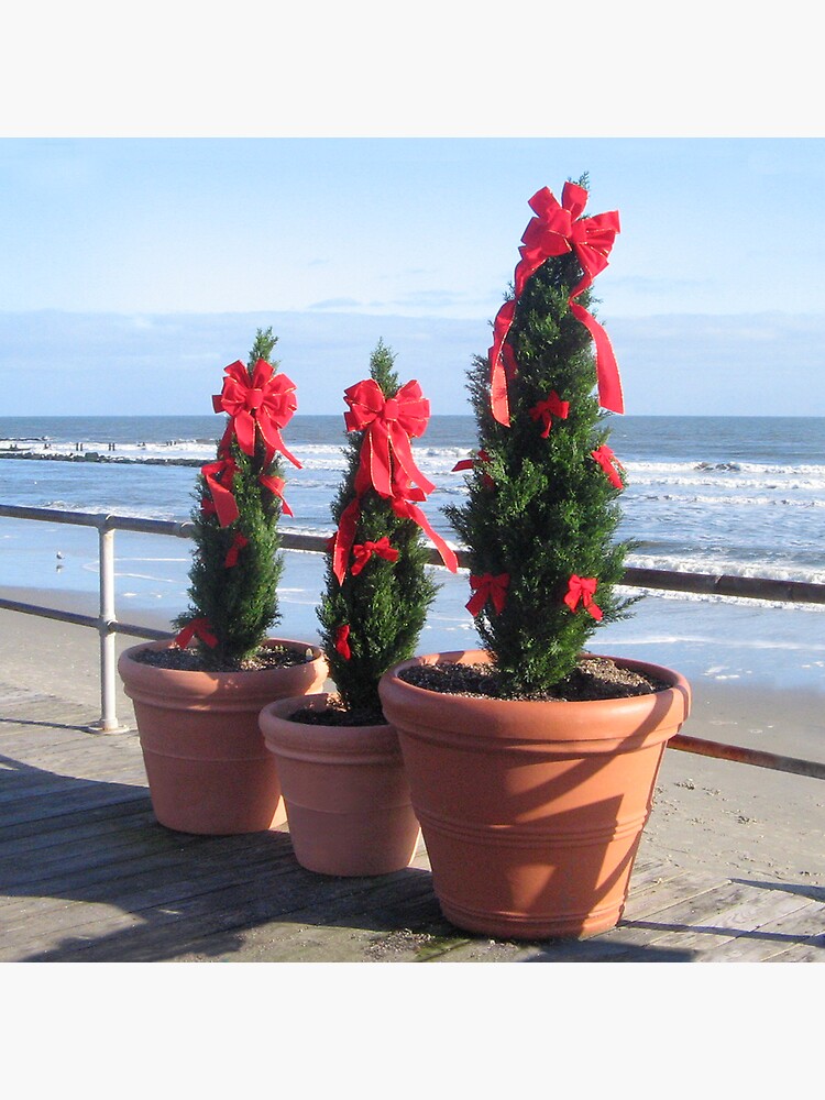 "Off-season Seasonal Cheer" Sticker for Sale by kranefeldink | Redbubble