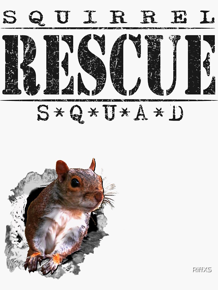 "Squirrel Rescue Squad" Sticker for Sale by RiffXS | Redbubble
