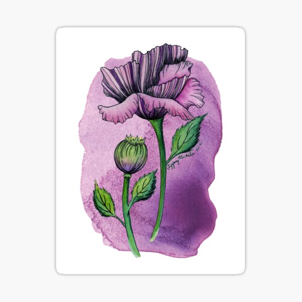 "Purple Poppy" Sticker for Sale by InBloomInk | Redbubble
