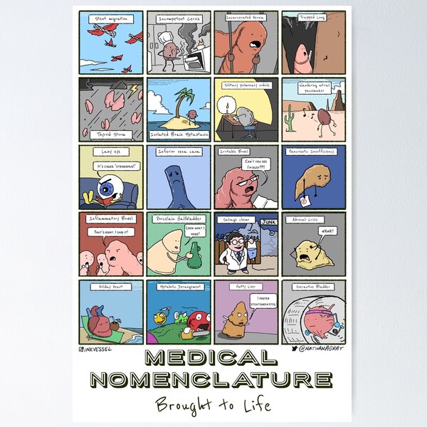 "Medical Nomenclature Brought to Life" Poster for Sale by NathanGray ...