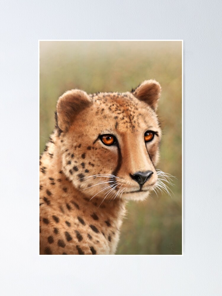 "Cheetah" Poster for Sale by Dragon84 | Redbubble