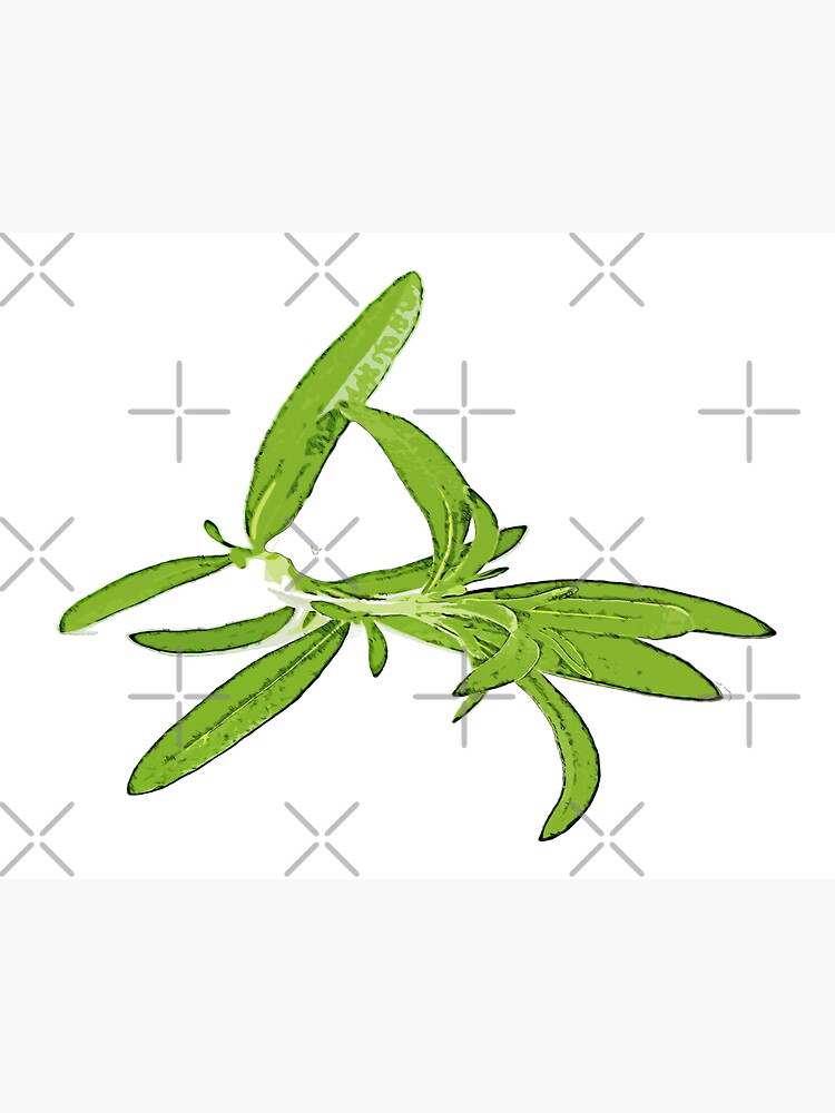 "Tarragon color vegetable" Sticker for Sale by artdragongift | Redbubble