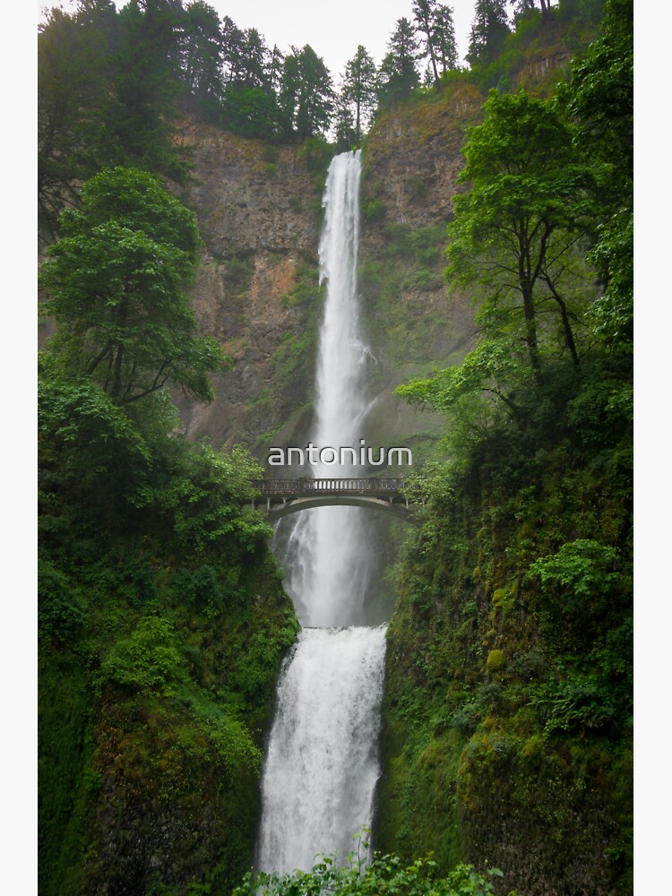 "Multnomah Falls" Sticker by antonium | Redbubble