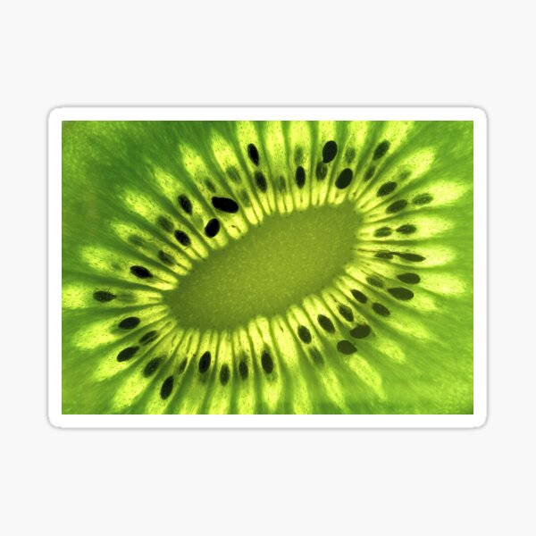"Kiwi" Sticker by MoonlightbyS | Redbubble