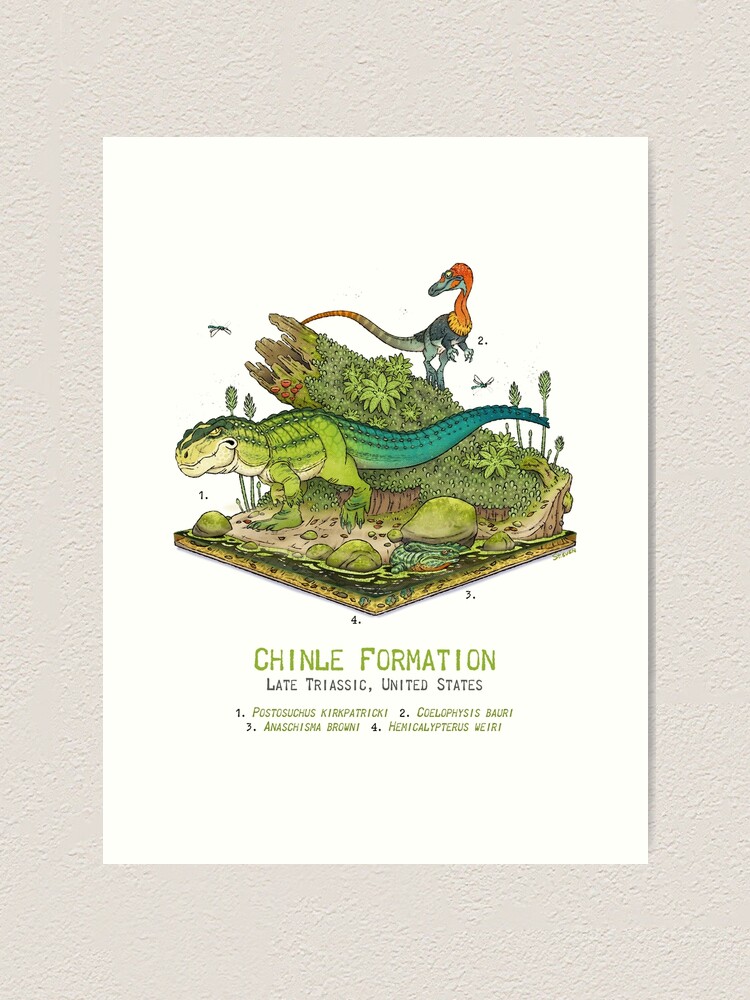 "Chinle Formation" Art Print for Sale by stieven | Redbubble