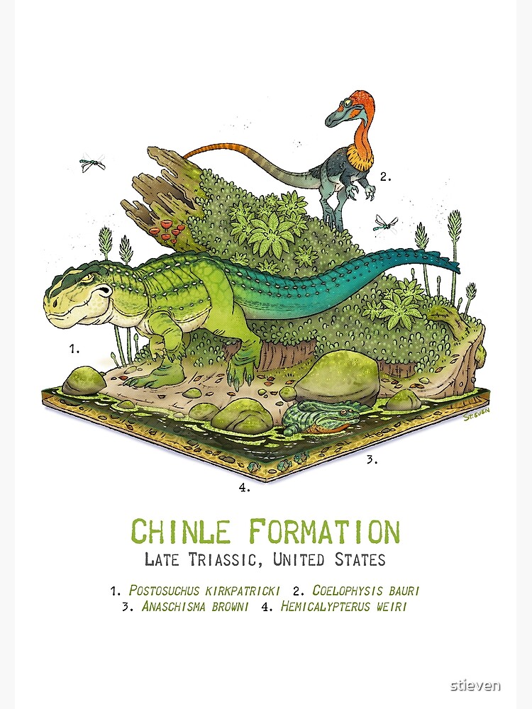 "Chinle Formation" Art Print for Sale by stieven | Redbubble