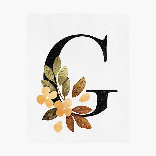 Lámina fotográfica «Letra G con flores y hojas, dibujadas con lápiz y ...
