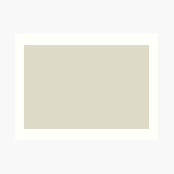 "Pale Beige Solid Color Pairs Dulux 2022 Popular Colour Fossil Hunting ...