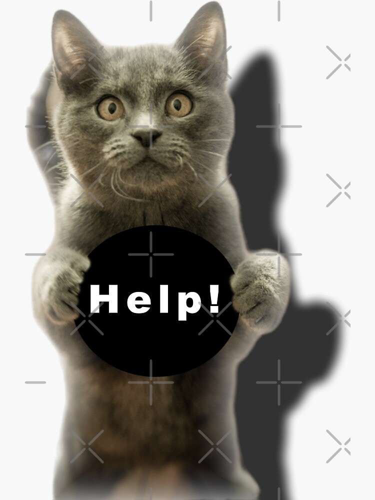 "Startled Cat - Help! " Sticker for Sale by LoveTheDesign | Redbubble