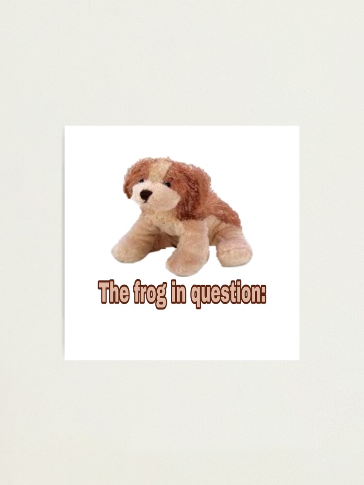 "Webkinz puppy dank meme the frog in question " Photographic Print for ...