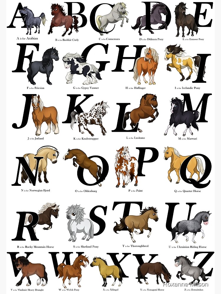 "ABC of Horse Breeds" Poster for Sale by roxannemilson | Redbubble