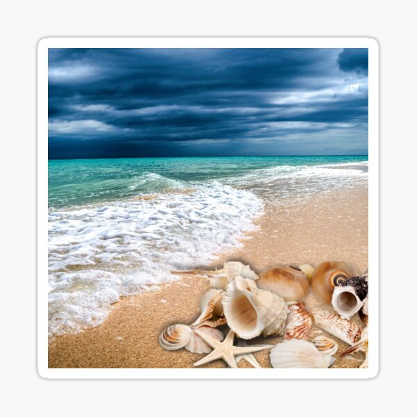 "Shells on the beach" Sticker by JensCreation | Redbubble