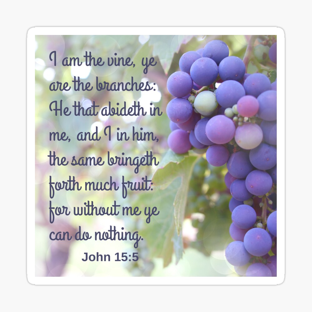 John 15 5 KJV Steemit 49 OFF Brunofuga adv br