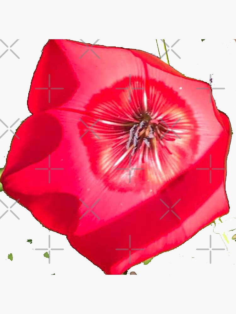 "Scarlet Flax" Sticker by JuleZ54 | Redbubble