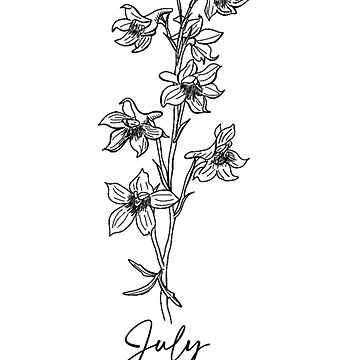 "July Birth Flower" Art Print for Sale by jamie-beth07 | Redbubble