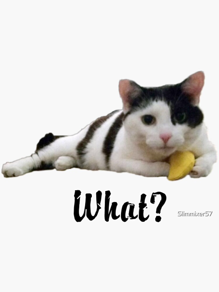 "Lilly Pie" Sticker for Sale by Slimmixer57 | Redbubble