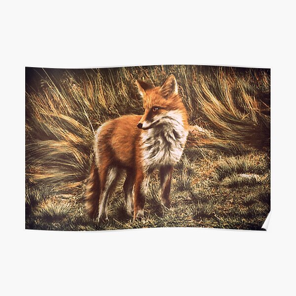 "fox " Poster for Sale by agat-marek | Redbubble