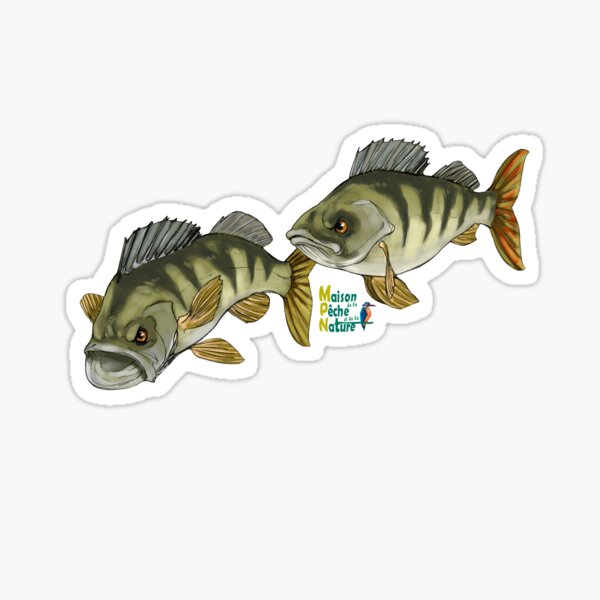 "Perche perch" Sticker for Sale by maisonpechnat | Redbubble