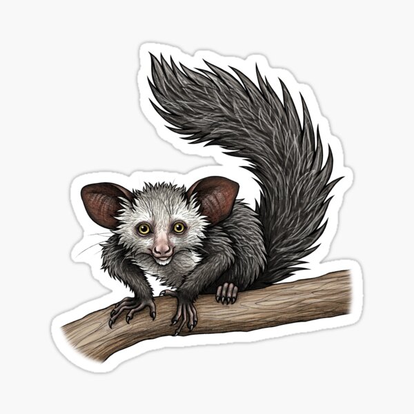 "Aye Aye" Sticker for Sale by lyndseygreen | Redbubble