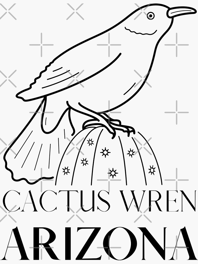 "Vintage Cactus wren Arizona State Bird" Sticker for Sale by Artystico ...