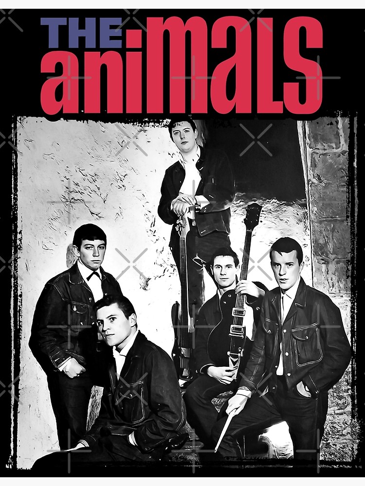 "The Animals" Poster for Sale by Kimmy73RB | Redbubble