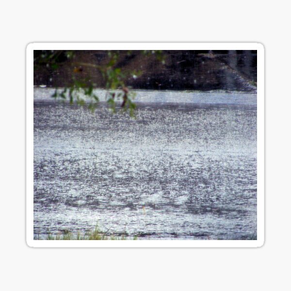 "Florida Rain" Sticker for Sale by kristalcurt | Redbubble