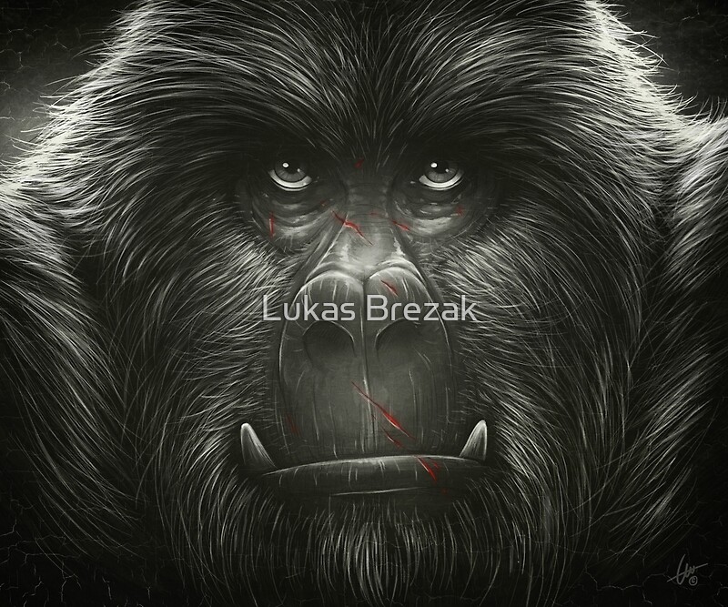 "Kong" by Lukas Brezak | Redbubble