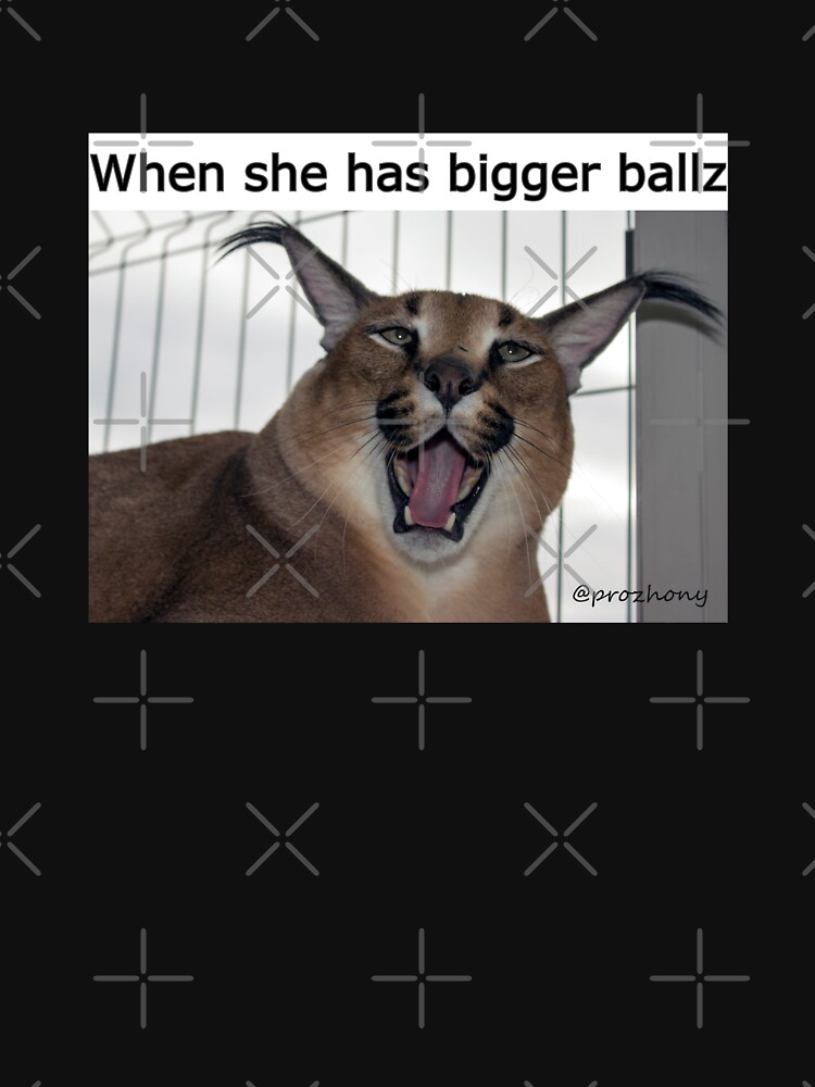 "Big Floppa Moment" T-shirt for Sale by neuronic | Redbubble | big t ...