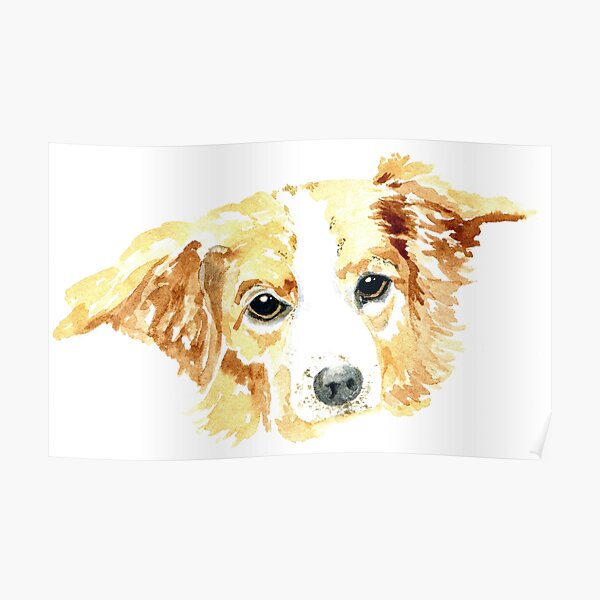 "Golden Mutt" Poster by laninefisher | Redbubble