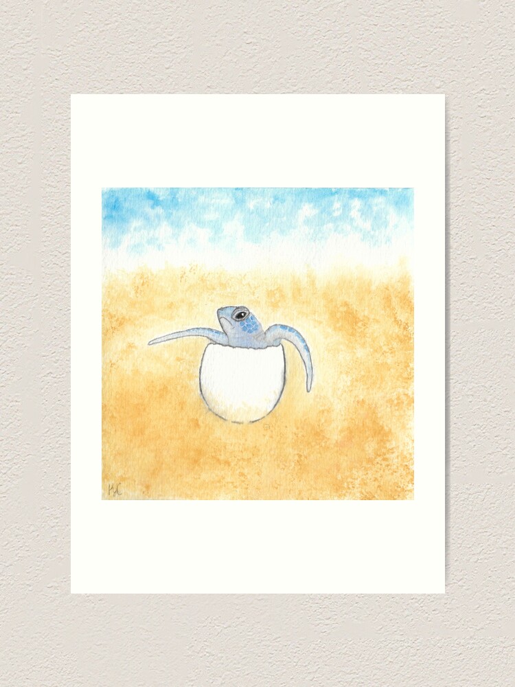 "Sea turtle hatching" Art Print for Sale by coastalcoloring | Redbubble