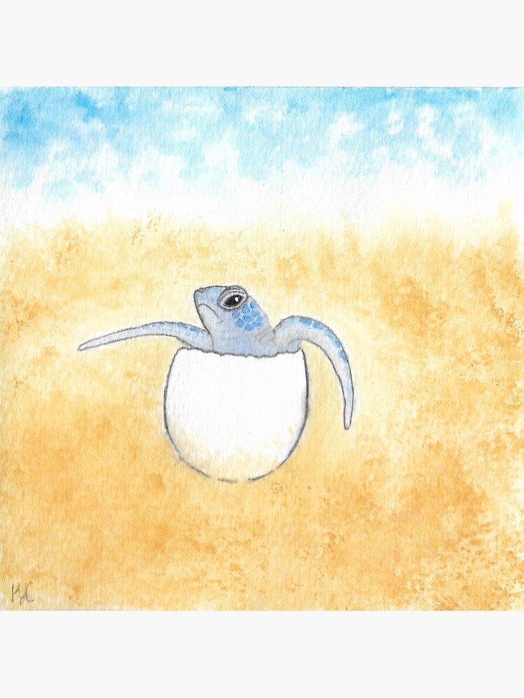 "Sea turtle hatching" Art Print for Sale by coastalcoloring | Redbubble