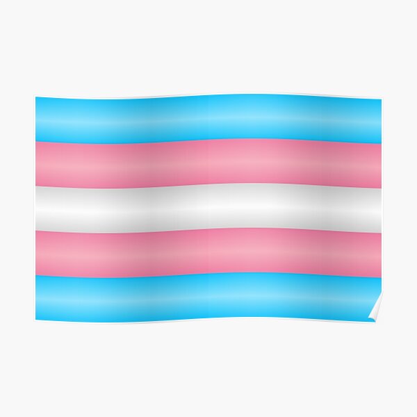 "Transgender Pride Flag" Poster for Sale by NovotnyDesigns | Redbubble