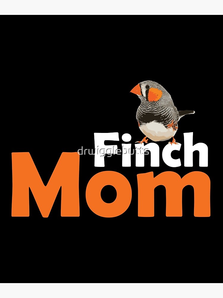 "Finch mom" Art Print by drwigglebutts | Redbubble