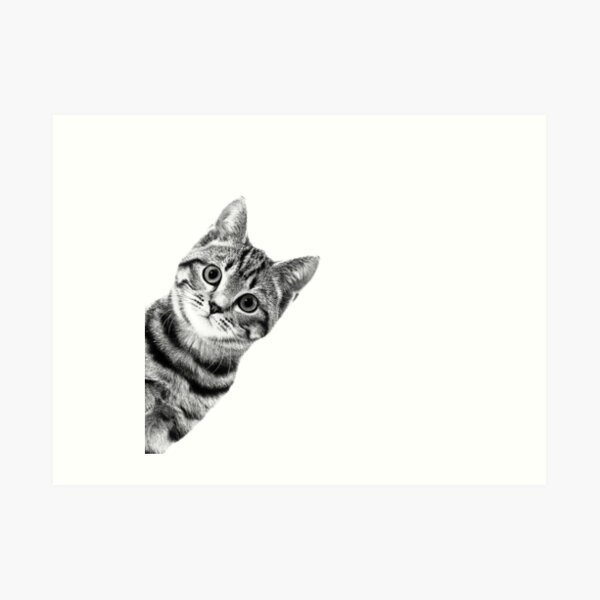 "Funny Sneaky Cat" Art Print for Sale by famousartwork | Redbubble