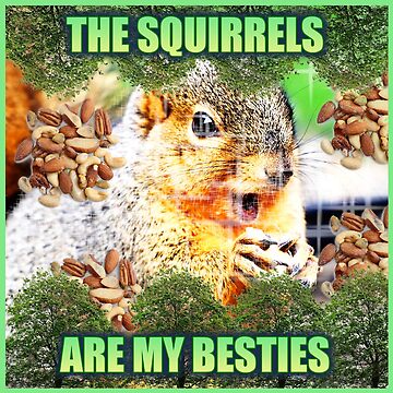 "THE SQUIRRELS ARE MY BESTIES" Sticker for Sale by UMich Affirmations ...