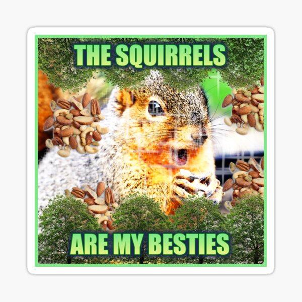 "THE SQUIRRELS ARE MY BESTIES" Sticker for Sale by UMich Affirmations ...