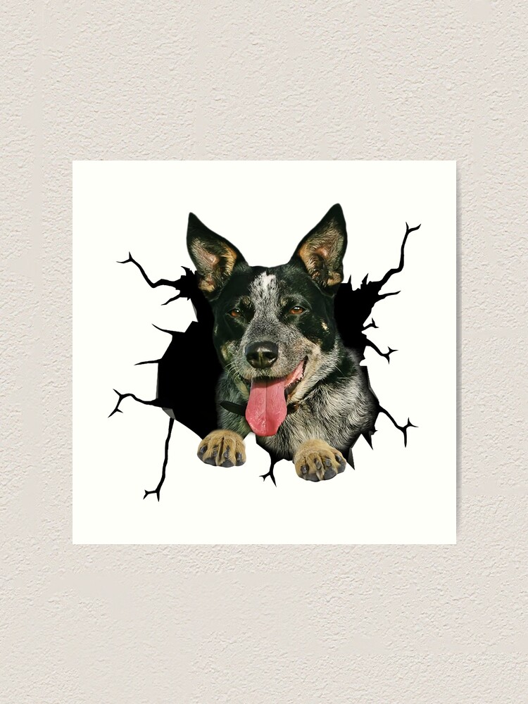 "Blue Heelers Crack Sticker Vinyl Car Decals Funny Gifs Label Stickers ...