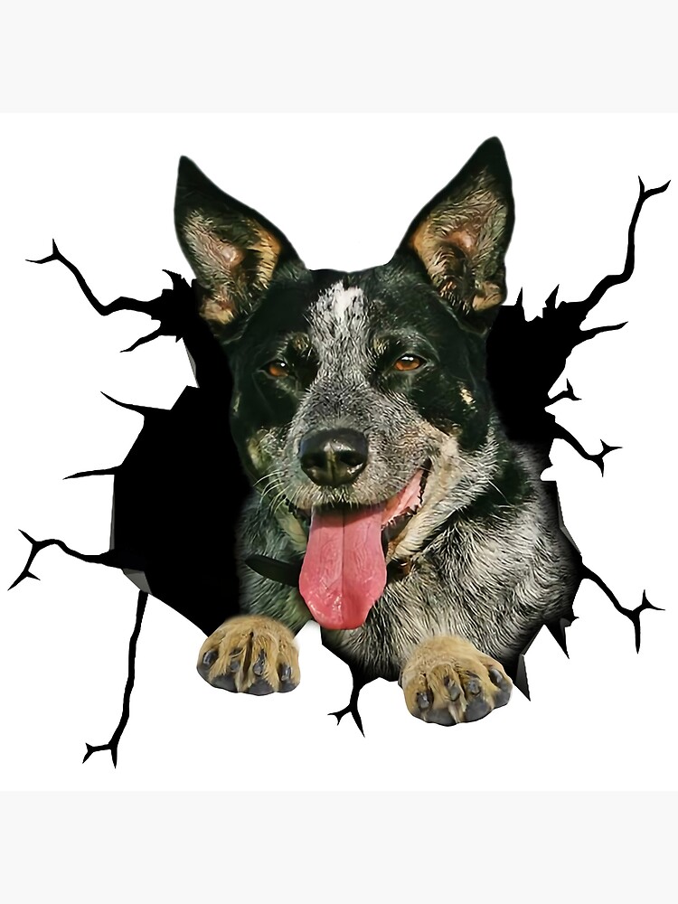 "Blue Heelers Crack Sticker Vinyl Car Decals Funny Gifs Label Stickers ...