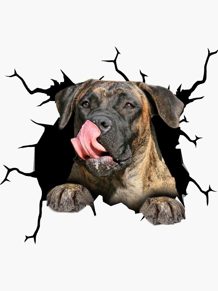 "Boerboel Crack Sticker Box Fun Outdoor Stickers 21st Birthday" Sticker ...