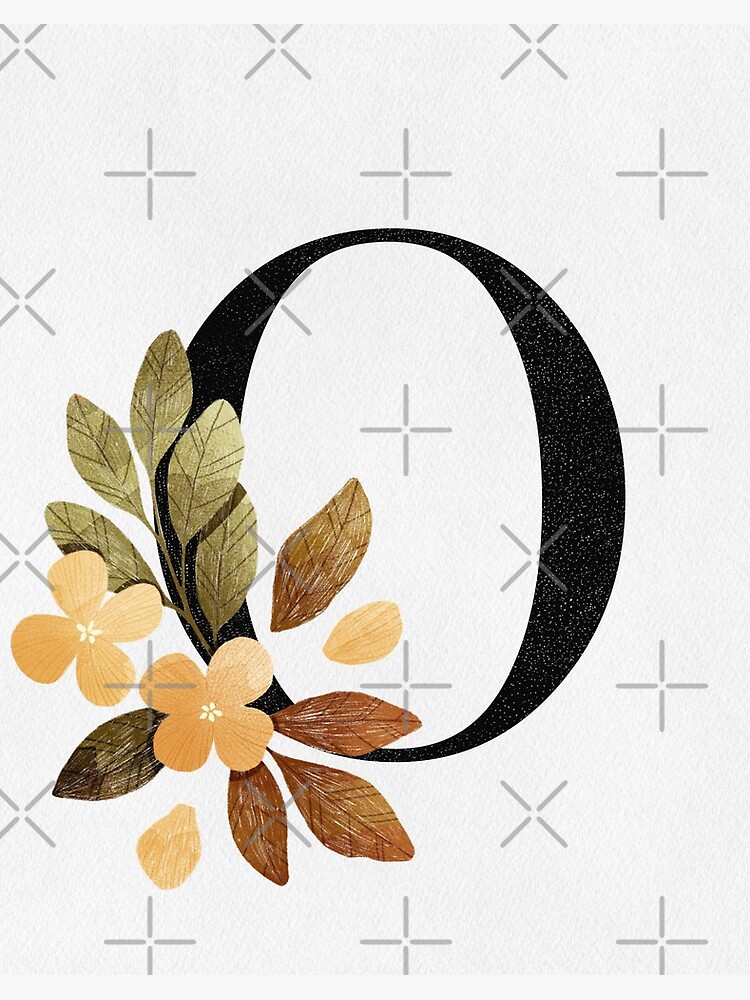 Lámina fotográfica «Letra O con flores y hojas, dibujadas con lápiz y ...