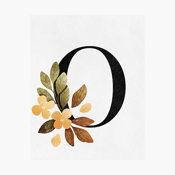 Lámina fotográfica «Letra O con flores y hojas, dibujadas con lápiz y ...