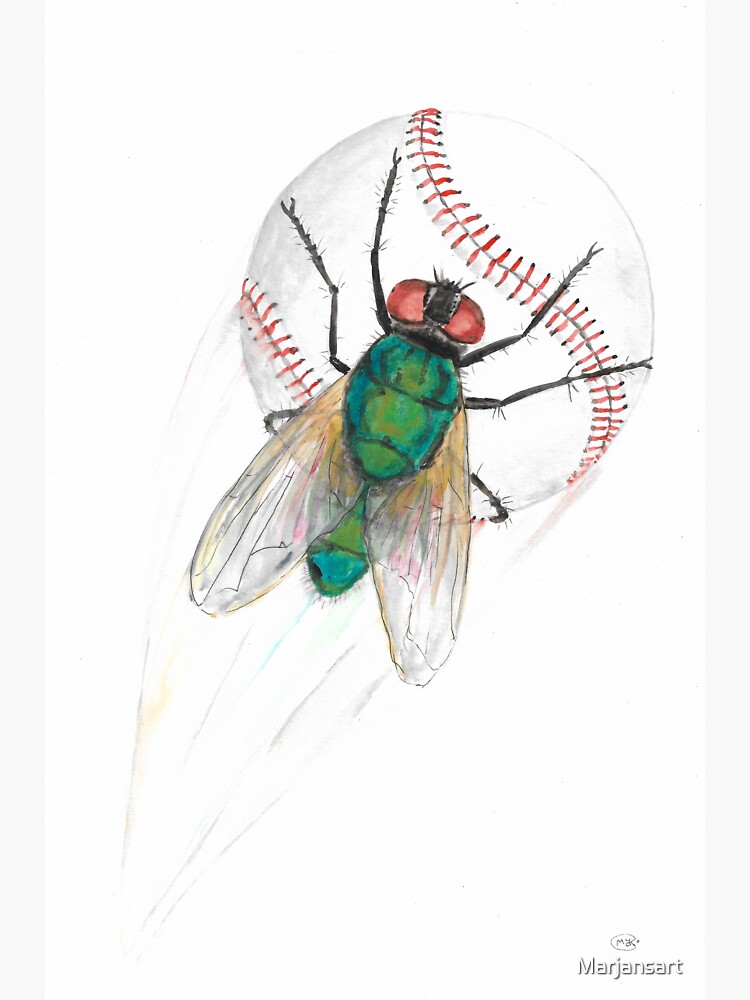 "Baseball and a Fly. Fly ball" Sticker for Sale by Marjansart | Redbubble