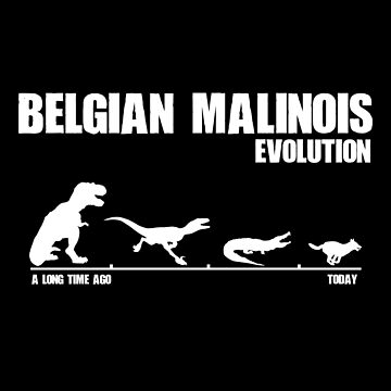 "Belgian Malinois Evolution - Maligator Maliraptor Gift" Poster for ...