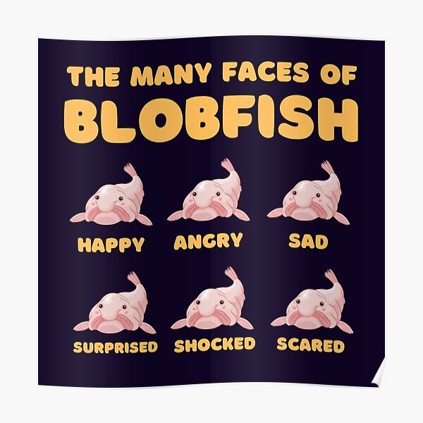 "The Many Faces of Blobfish " Poster by Mohamedhadim | Redbubble